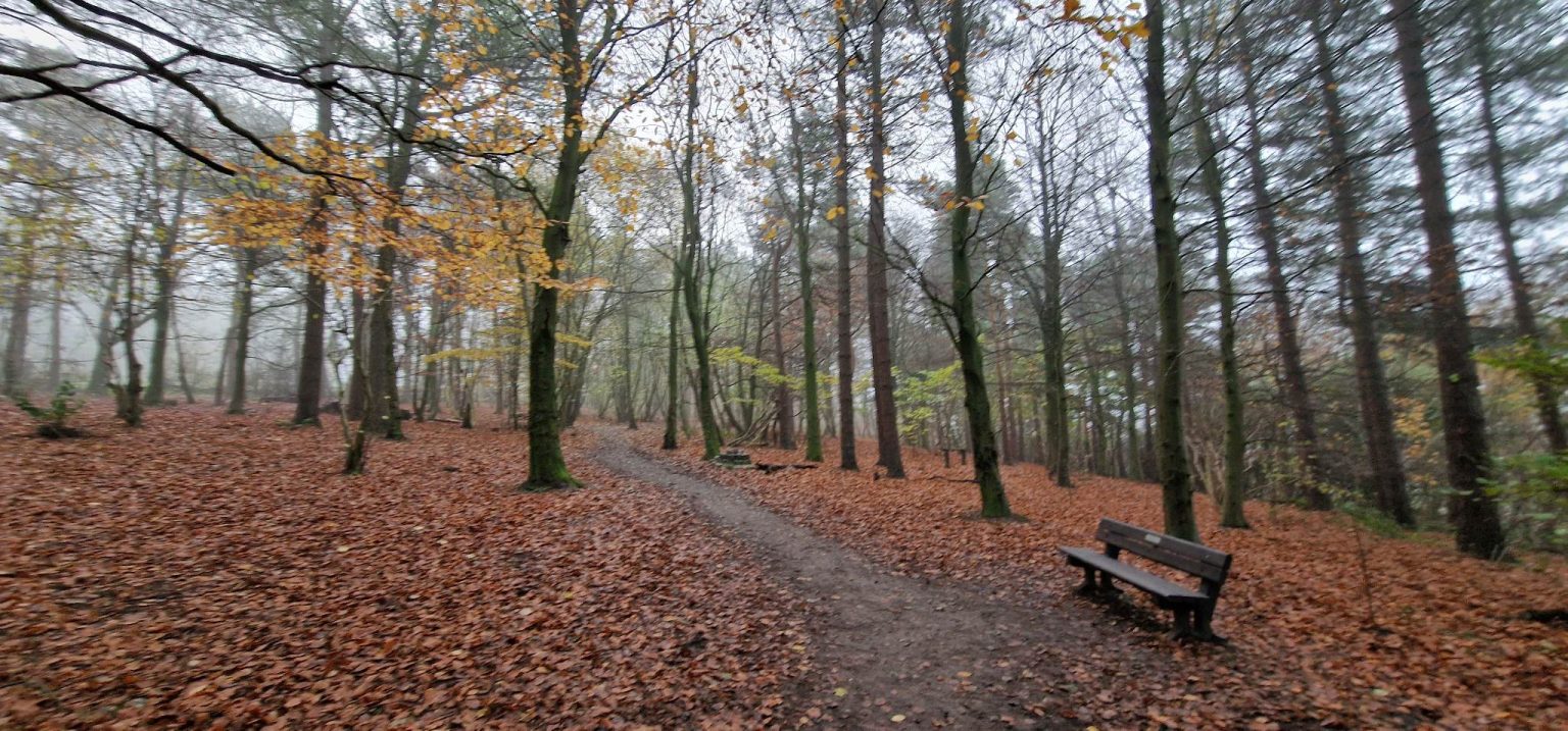 Things to do in and around Skelmersdale – Skem First